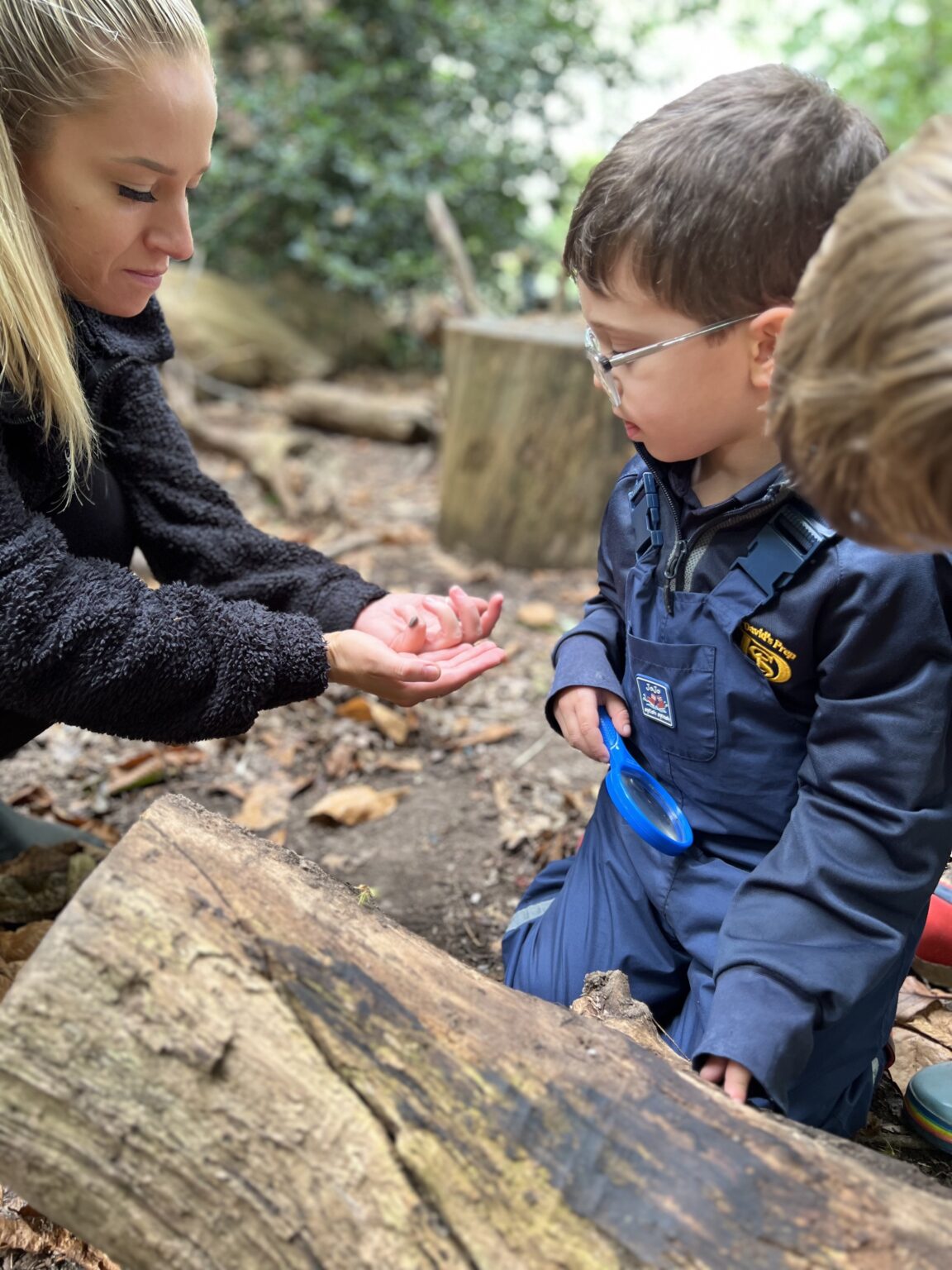 Forest School - St David's Prep