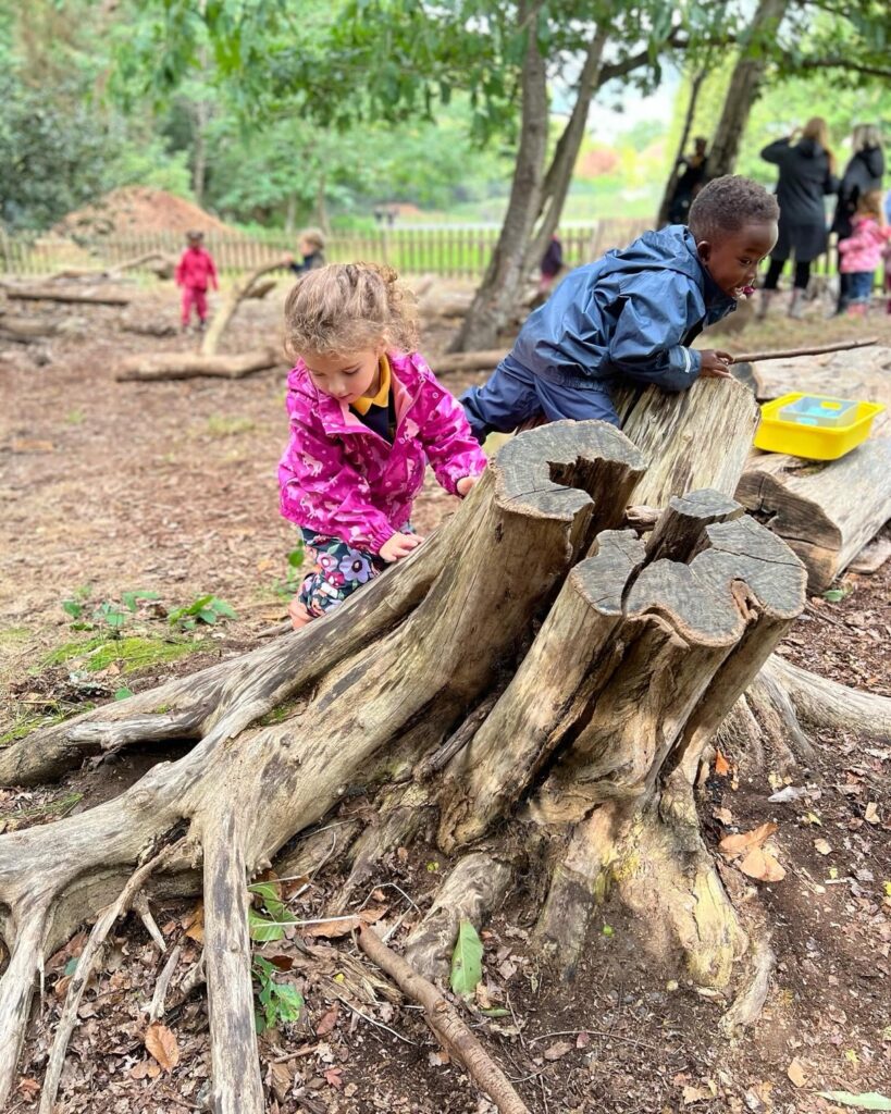 Forest School - St David's Prep